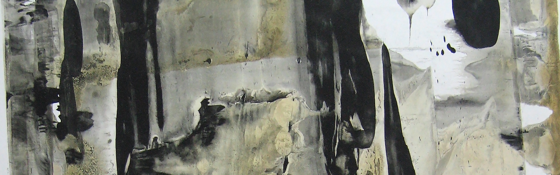 Digital Transformation Strategists - Altimum IMS