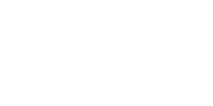 Digital Transformation Strategists - Altimum IMS