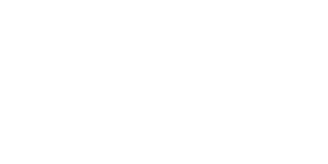 Digital Transformation Strategists - Altimum IMS